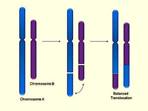 ลดโอกาสเกิดภาวะท้องลมได้ด้วยการทำเด็กหลอดแก้ว – Phyathai Sriracha
